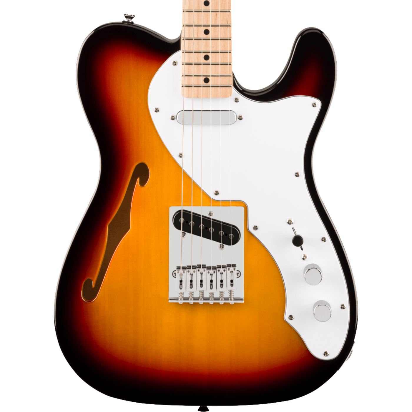 Squier Affinity Series Telecaster Thinline Electric Guitar, Maple Fing