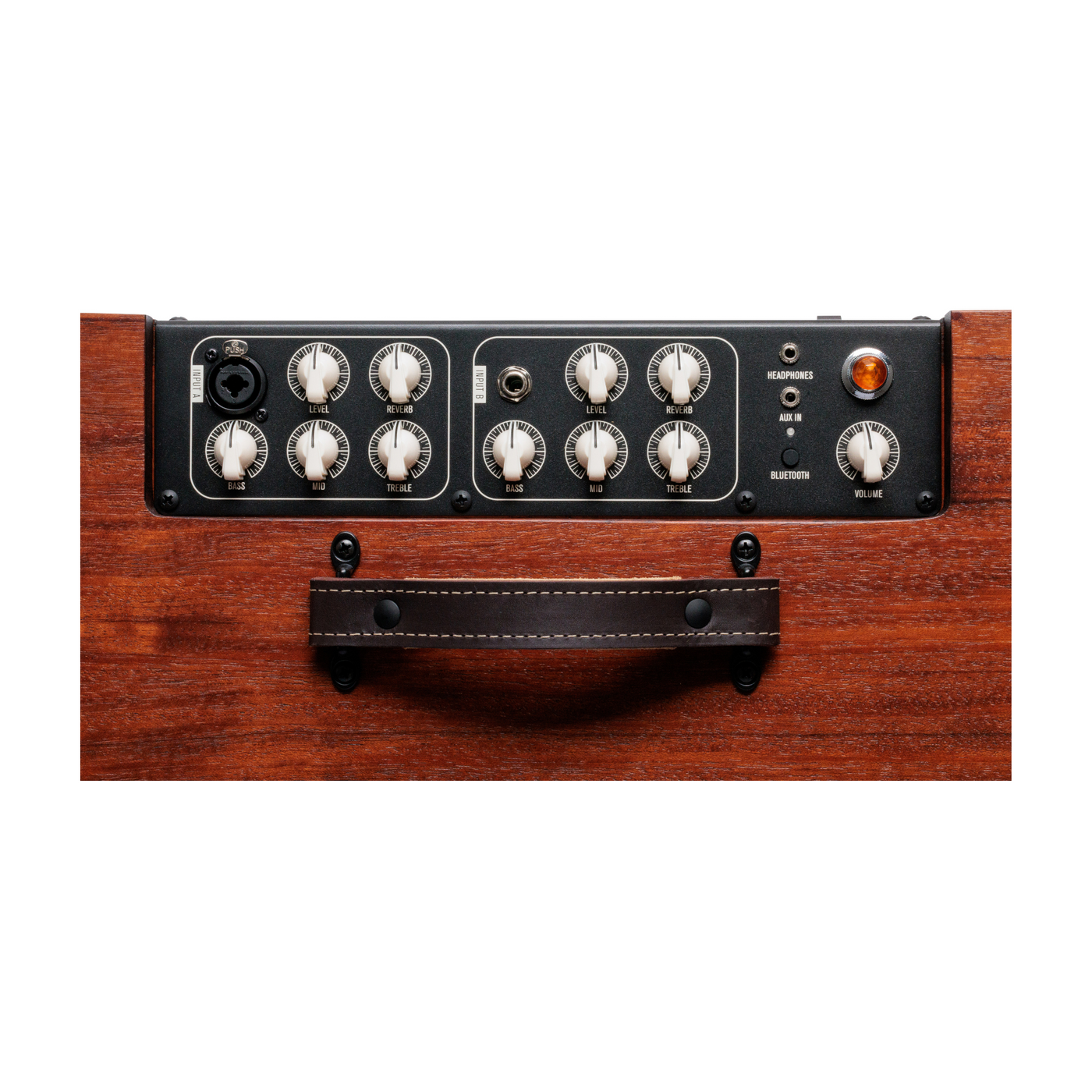 Taylor Circa 74 Acoustic Guitar/Vocal 1x10 Full-Range Combo Amplifier,