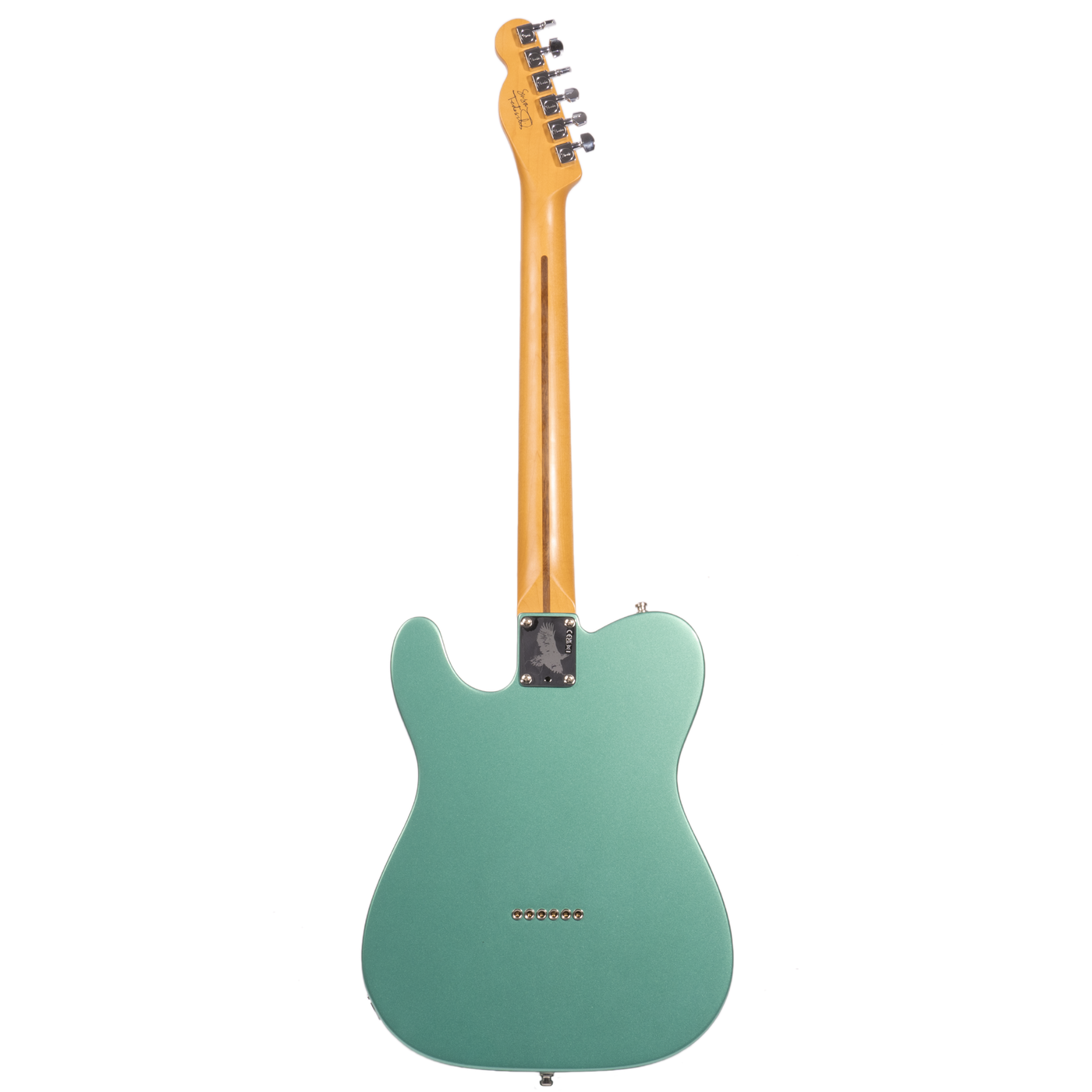 Fender Susan Tedeschi Telecaster Electric Guitar, Aged Carribean Mist