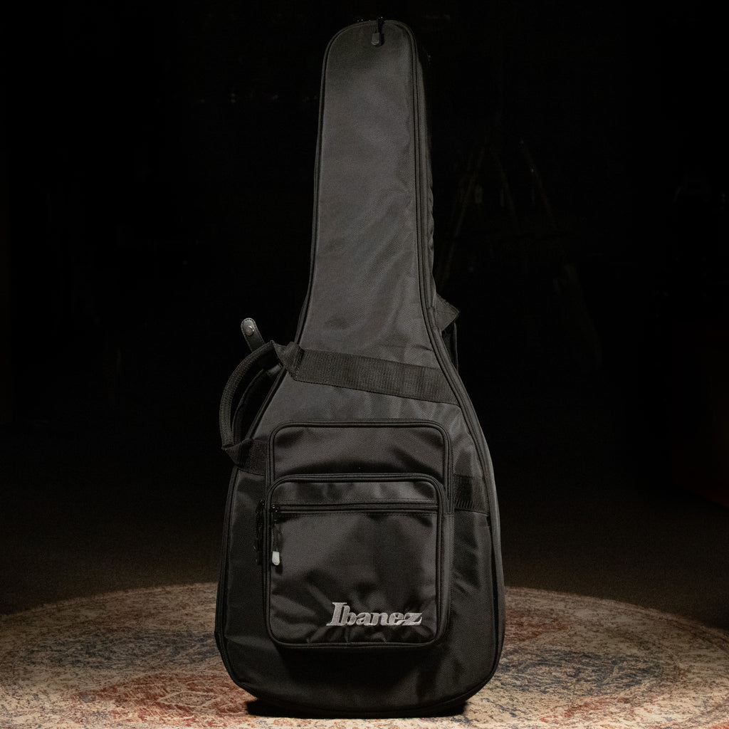 2021 Ibanez EH10 Erick Hansel Signature Electric Guitar, Transparent G