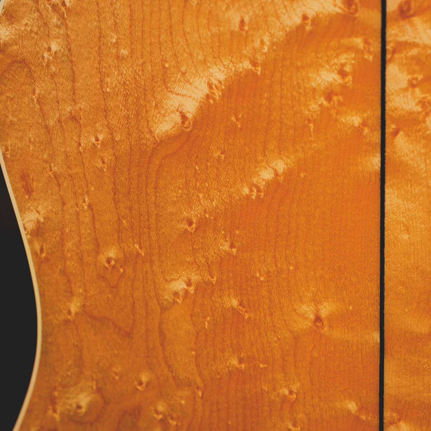 Gibson 1995 Advanced Jumbo Birdseye Acoustic Guitar, Maple Back And Si