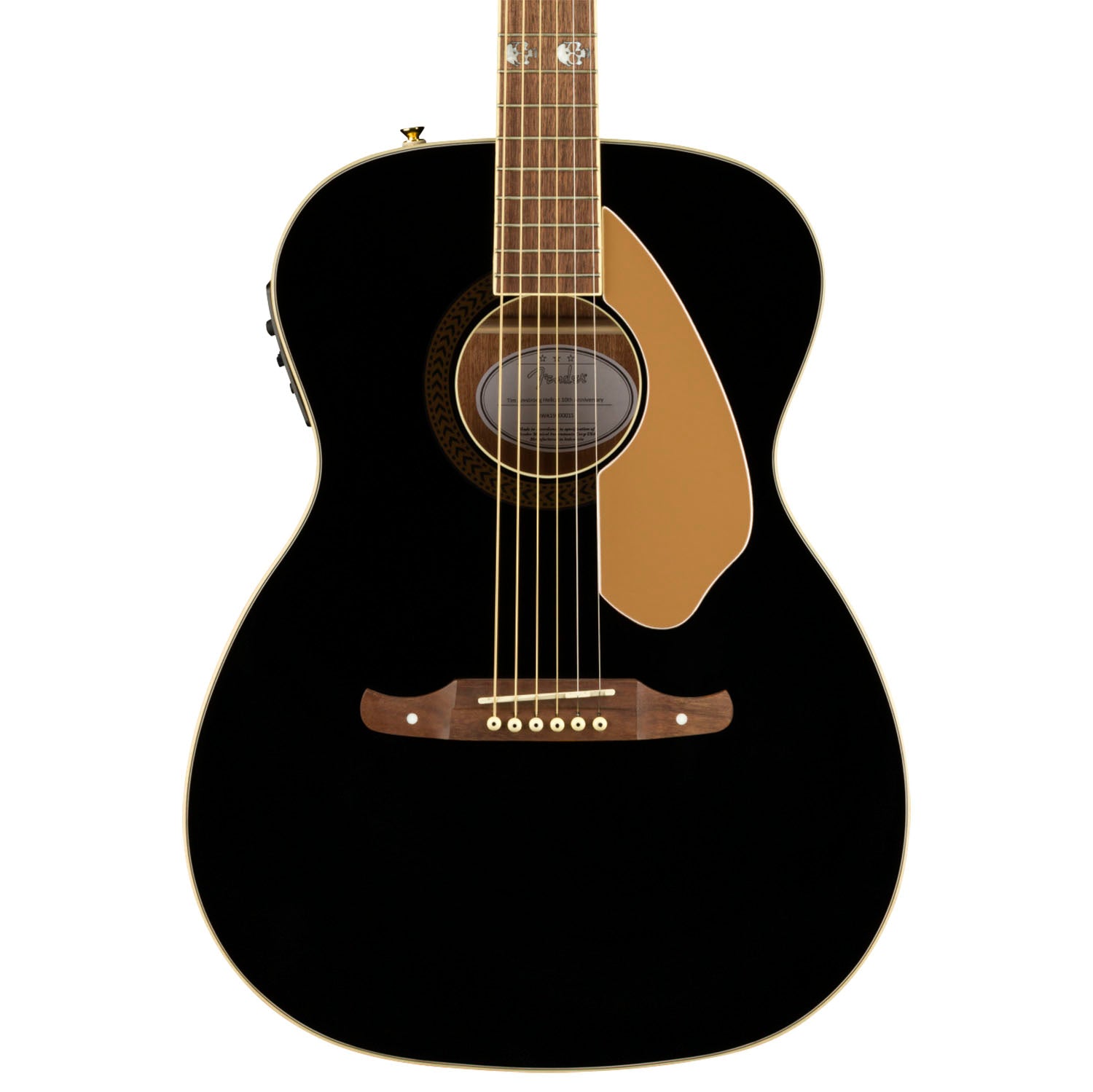 Fender Tim Armstrong Anniversary Hellcat
