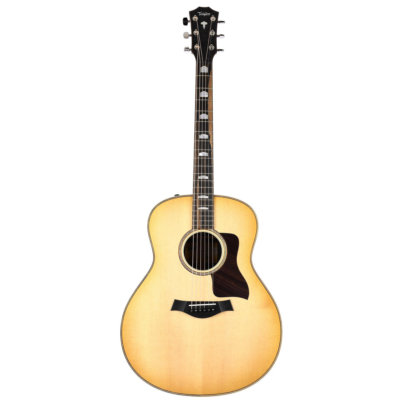 Taylor 818E Grand Orchestra V Class Bracing
